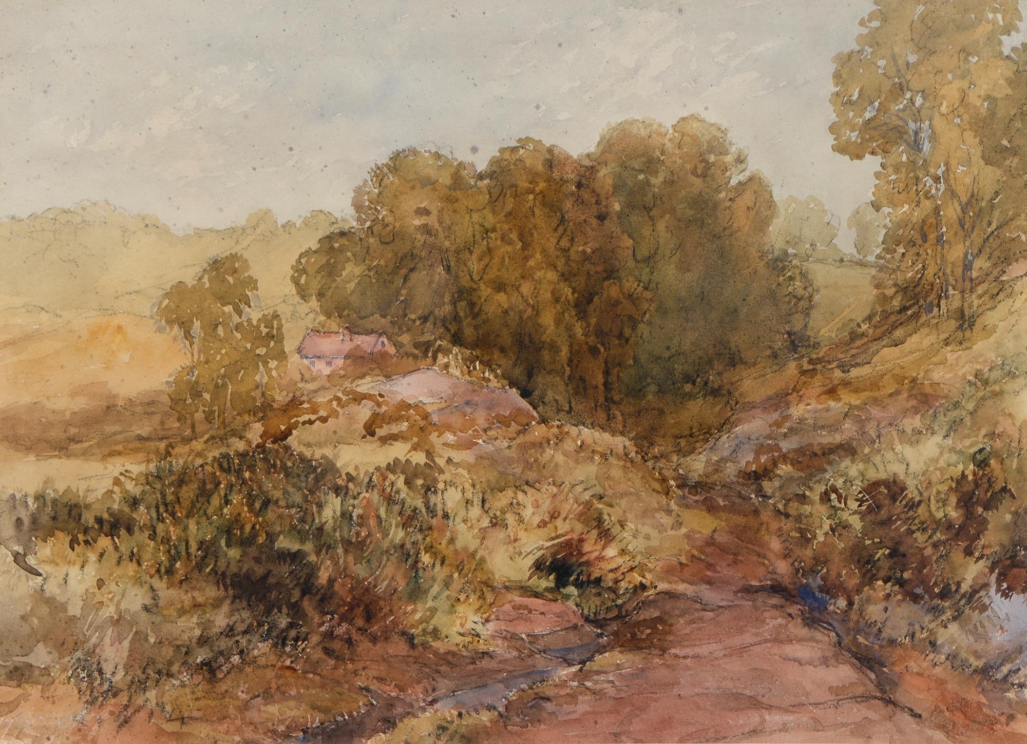 David Cox Sr. | A track in the Welsh mountains | MutualArt