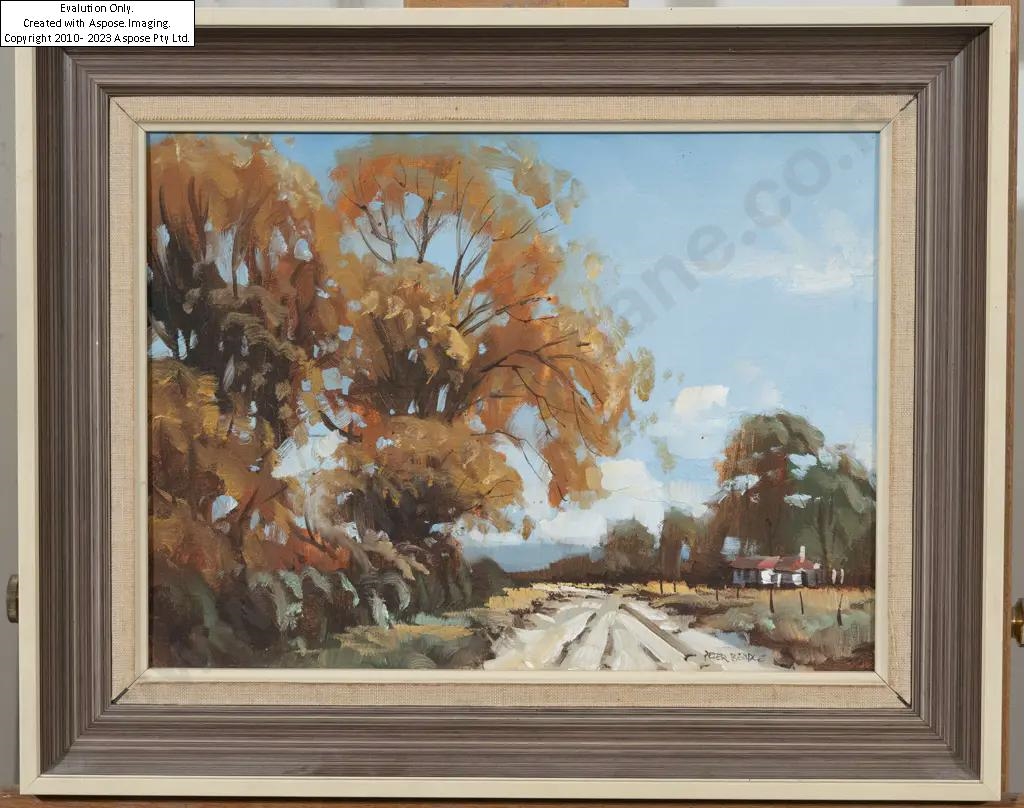 Peter Beadle | Autumn Road to Arrowtown | MutualArt