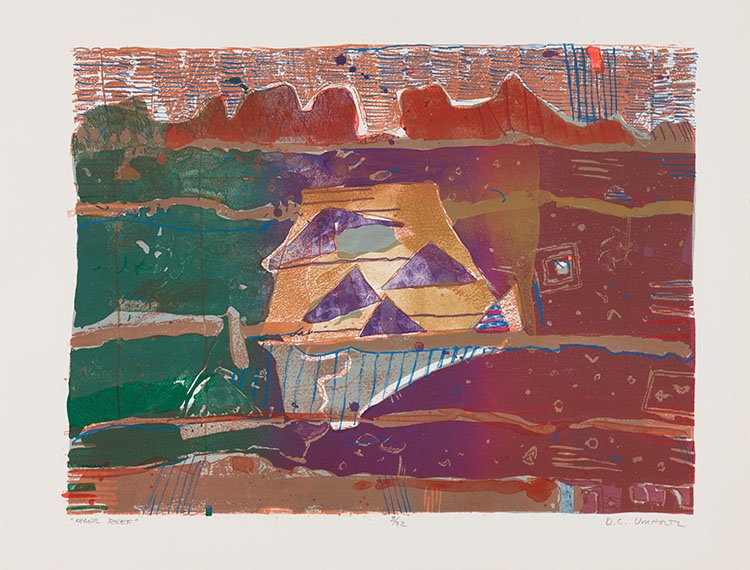 David Umholtz | Niger Reef | MutualArt