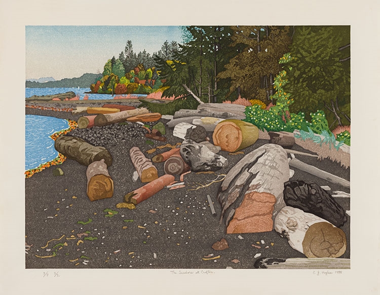 Edward John Hughes | The Seashore at Crofton (1998) | MutualArt