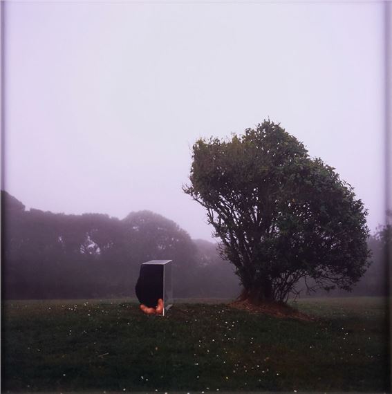 Helen Clegg | 1 Artworks at Auction | MutualArt