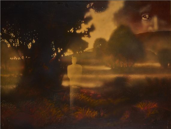 Darcy Nicholas | Te Kotuku's Bush | MutualArt