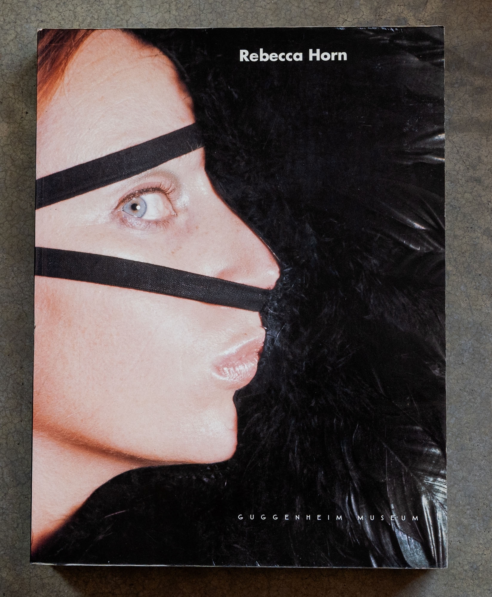 Rebecca Horn | Oyster Piano (1992) | MutualArt