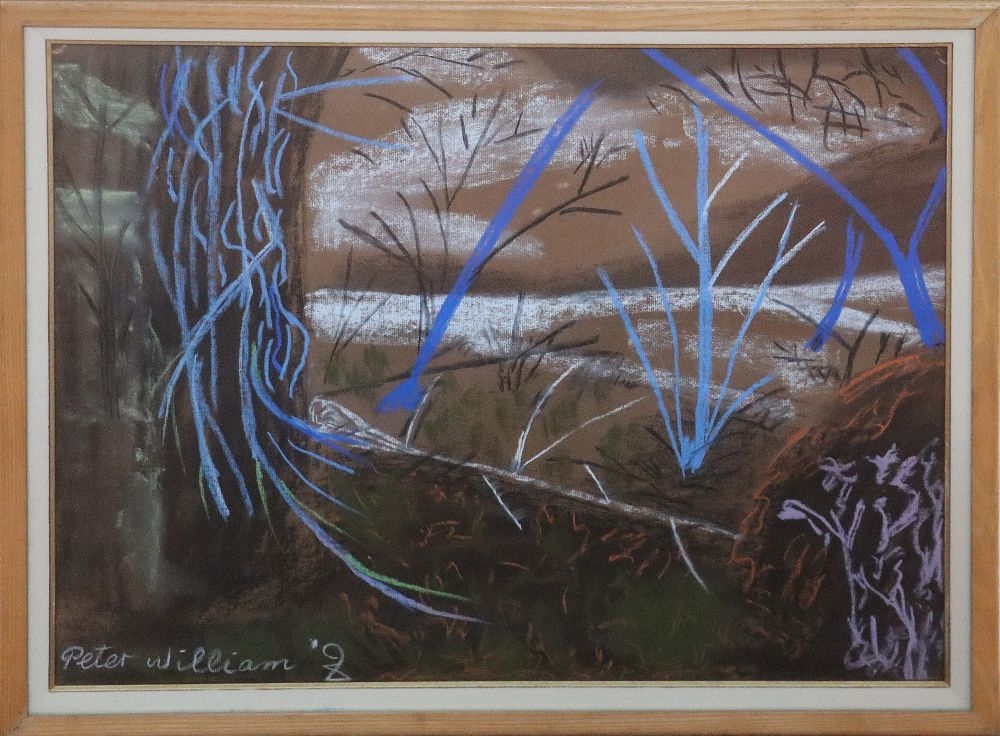 Peter Williams | THE FOREST (98) | MutualArt