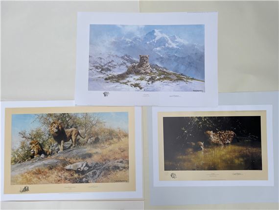 David Shepherd | SNOW LEOPARD | MutualArt