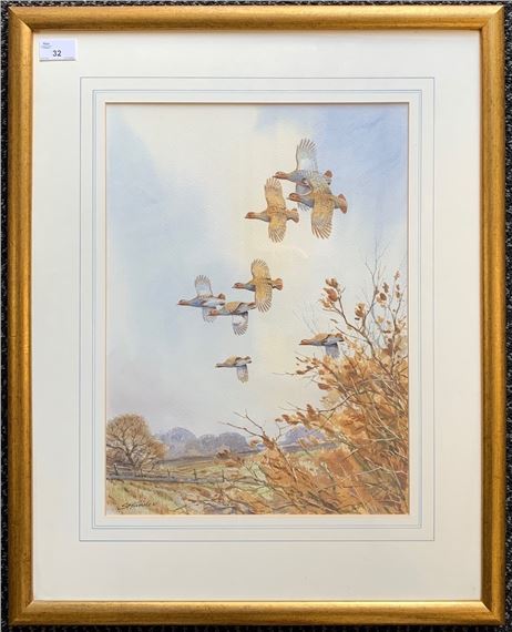 Simon Trinder | 'Gray Partridge bursting over a hedge' (2004) | MutualArt
