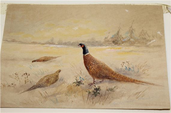 Archibald Thorburn | Jay (1917) | MutualArt