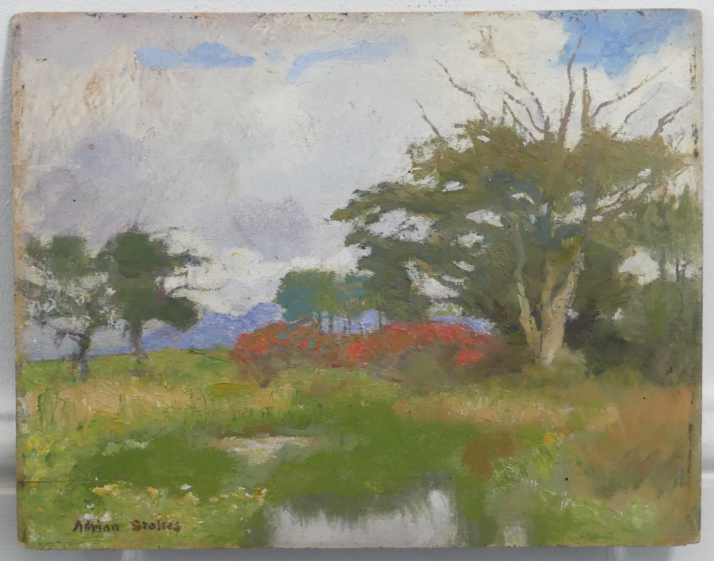 Adrian Scott Stokes | Fuchsias in Connemara | MutualArt