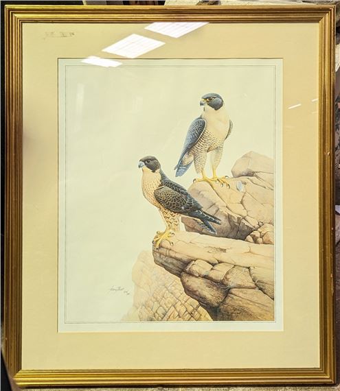 Jeremy Boot | Birds of prey | MutualArt