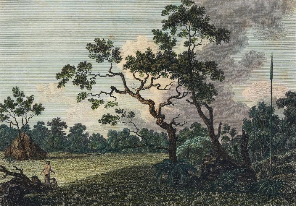 Thomas Medland | A View of New South Wales (After Robert Cleveley (1789 ...