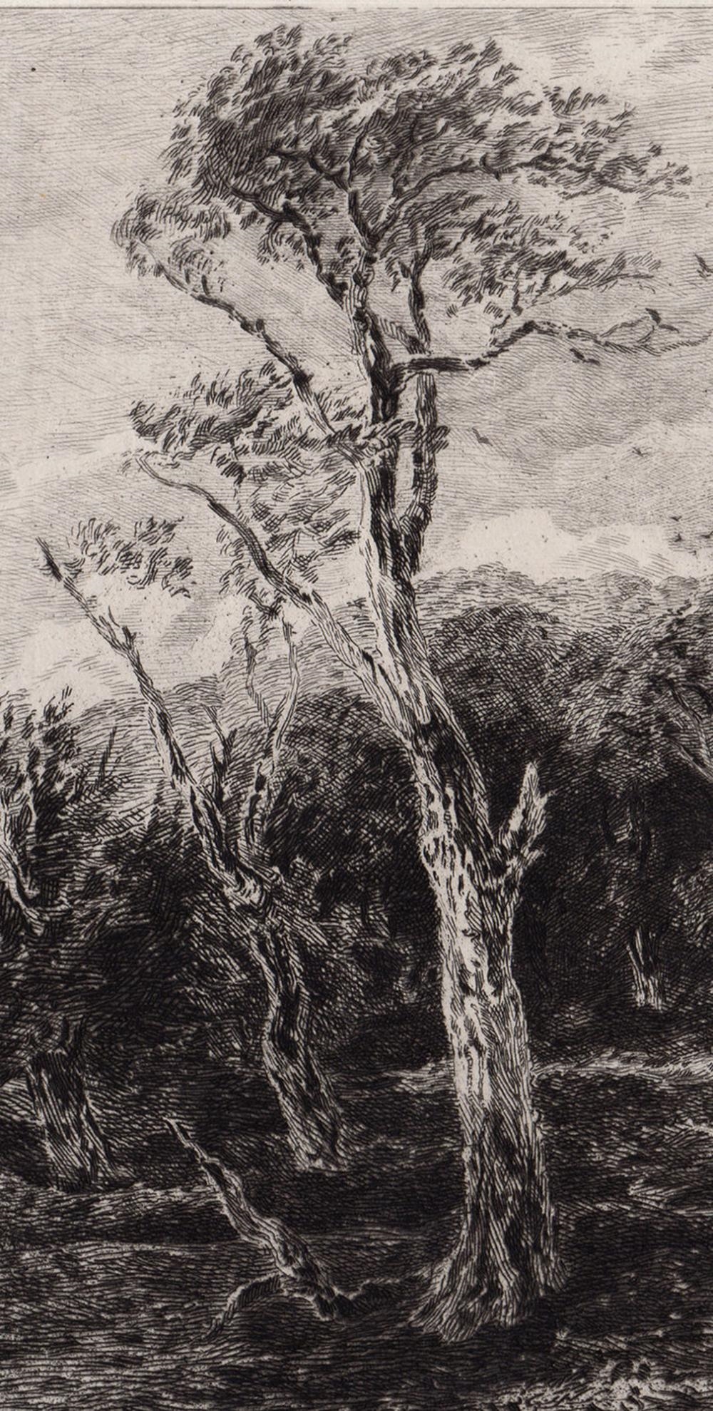 David Cox Sr. | David Cox 1877 etching Hardwick Hall signed (1845 ...