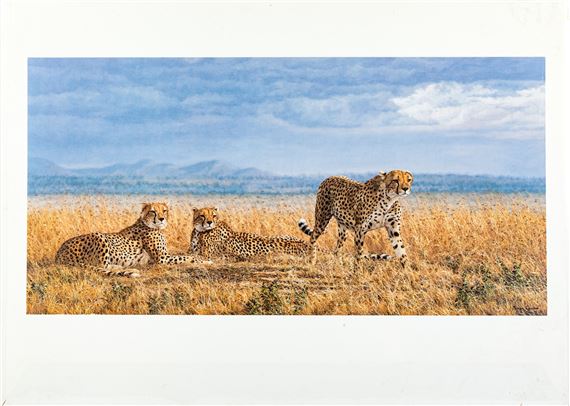 Simon Combes | Serious Intent-Cheetahs | MutualArt