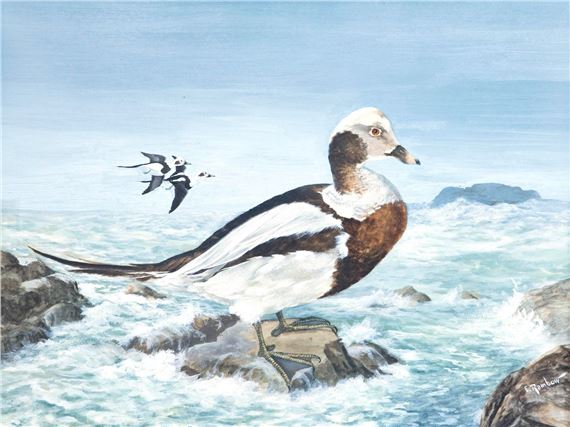 Erwin Rambow | Biography