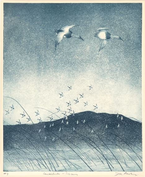 Jay Norwood Darling | Canvasbacks - Evening | MutualArt