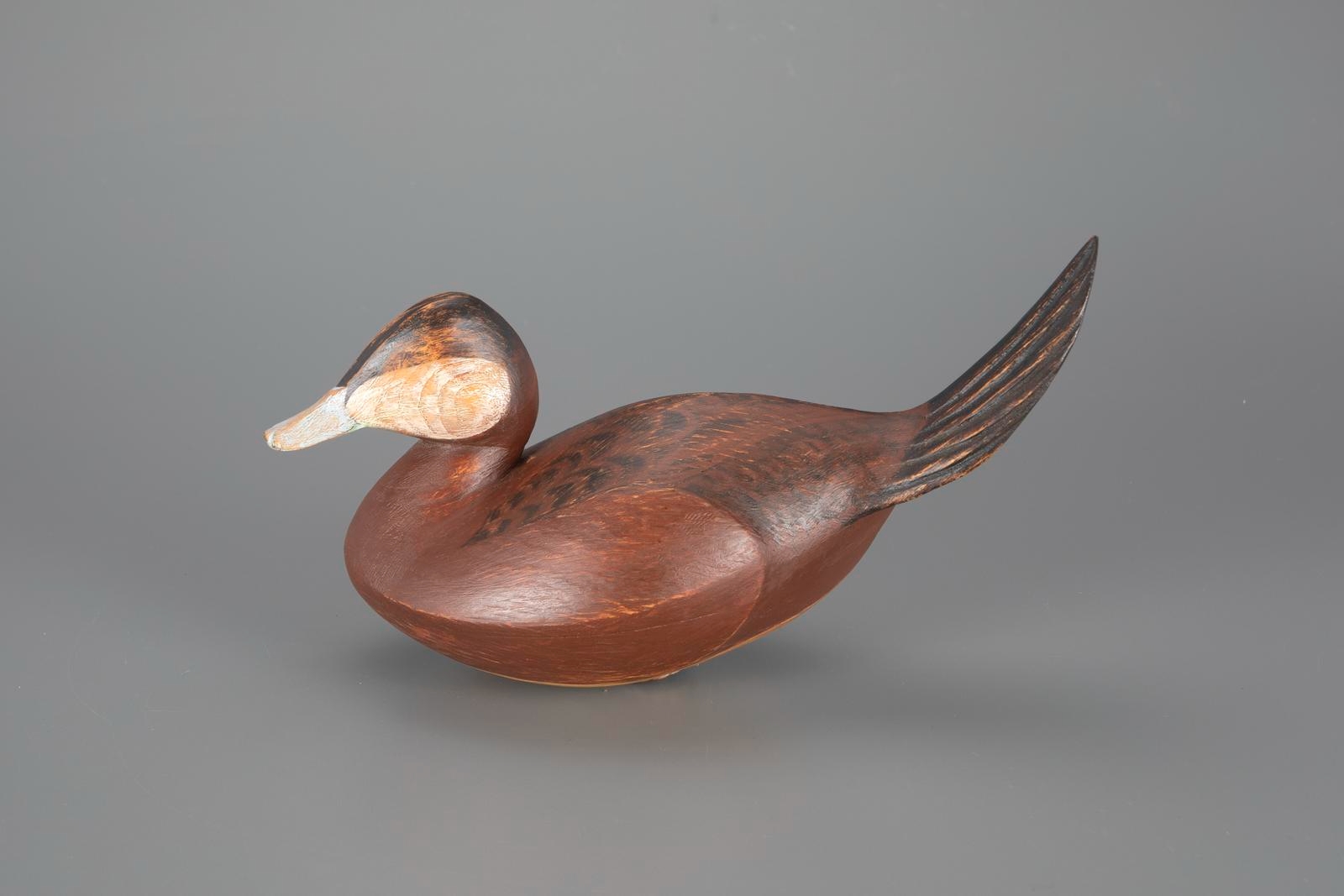 Russell Owen | Ruddy Duck | MutualArt