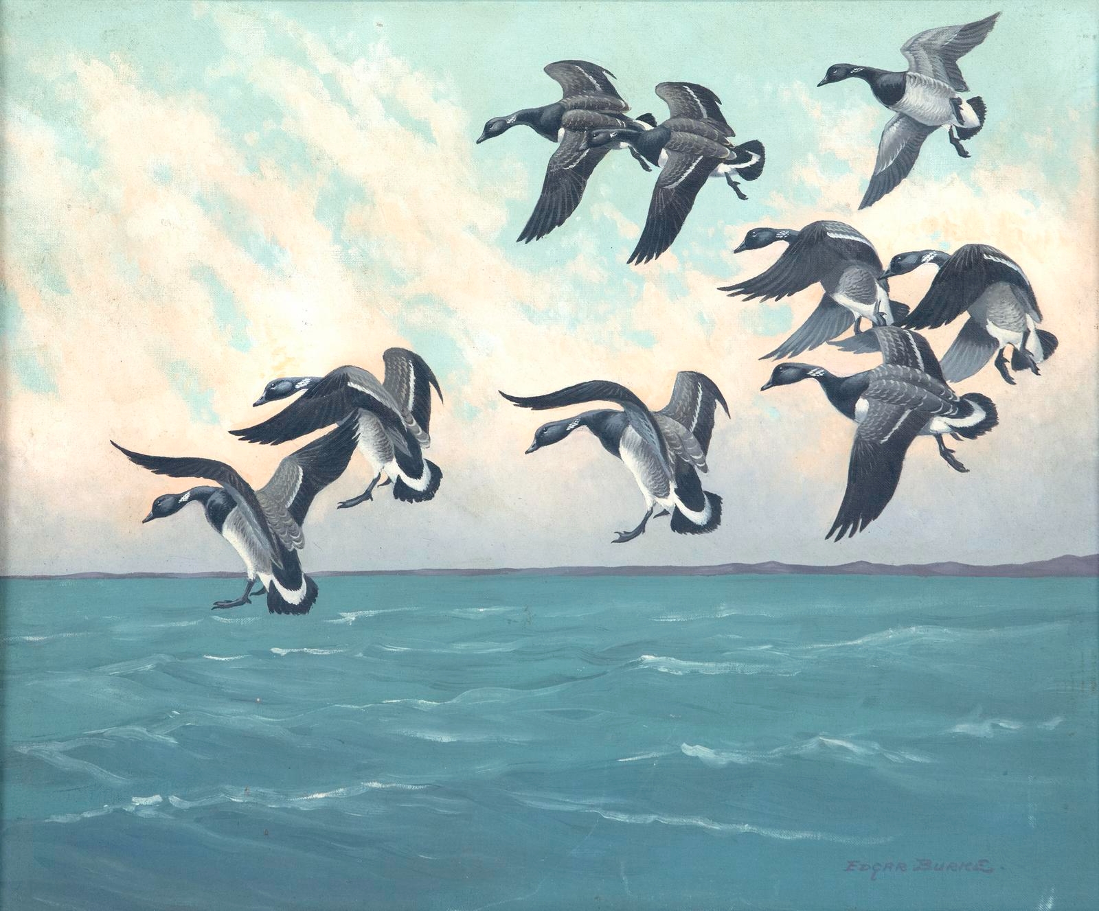 Edgar Burke | Flying Atlantic Brant | MutualArt