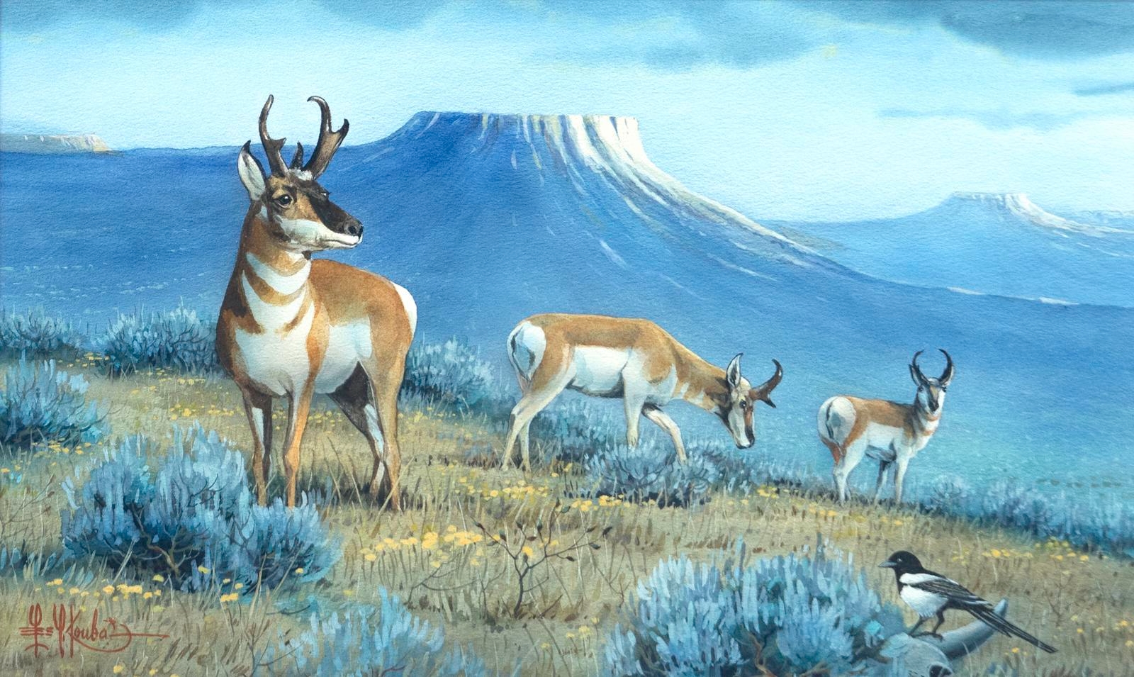 Les Kouba | Antelope Paradise | MutualArt