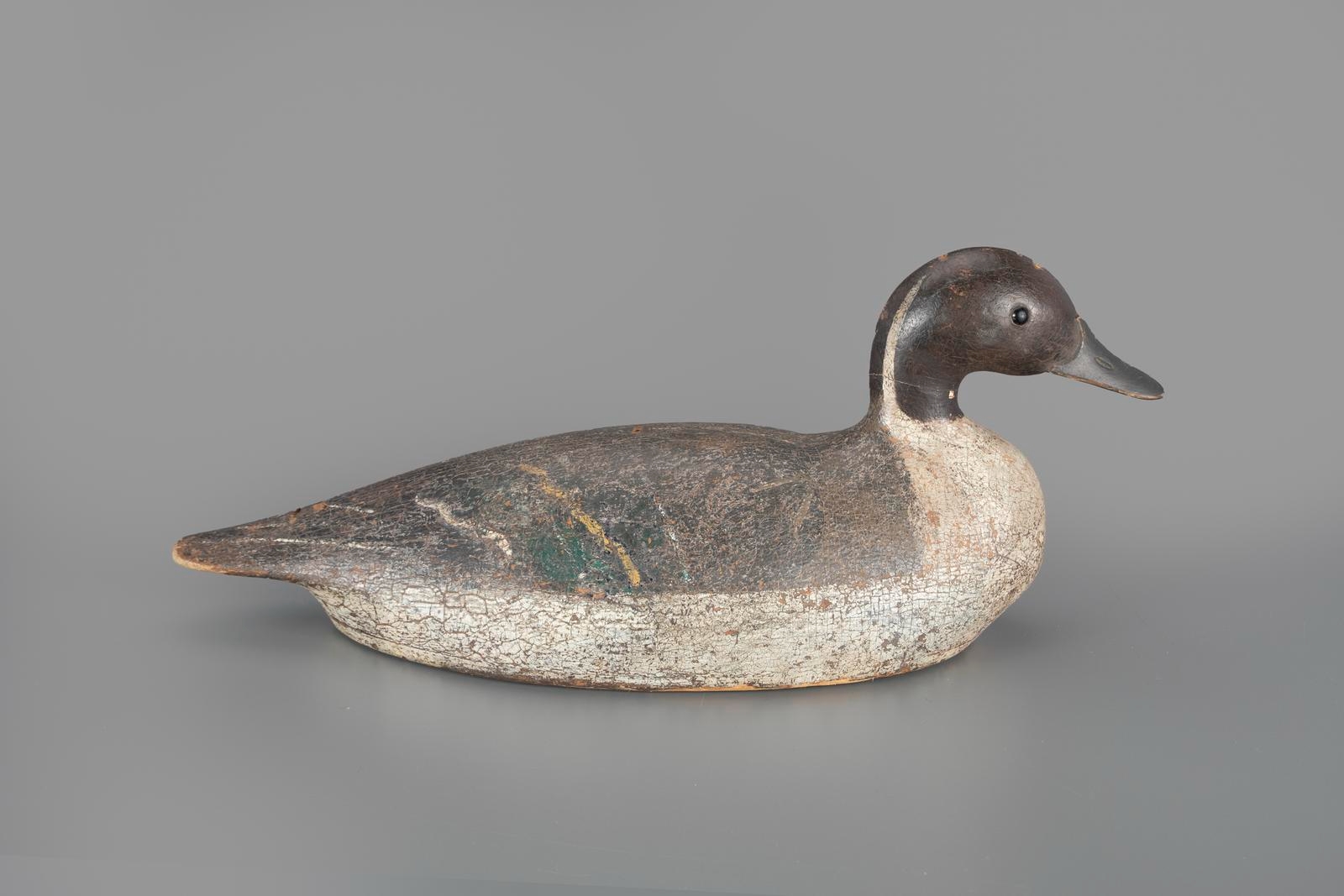 Nathaniel Quillen | Pintail Drake (1890) | MutualArt