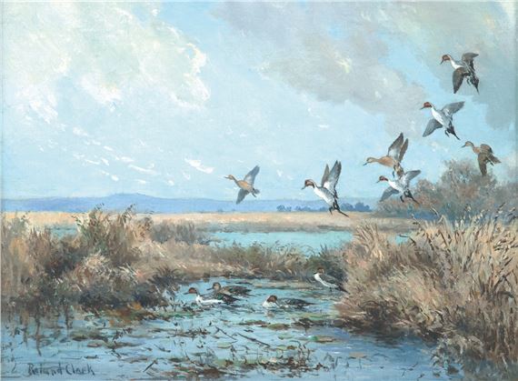 Roland H. Clark | Pintails Alighting | MutualArt