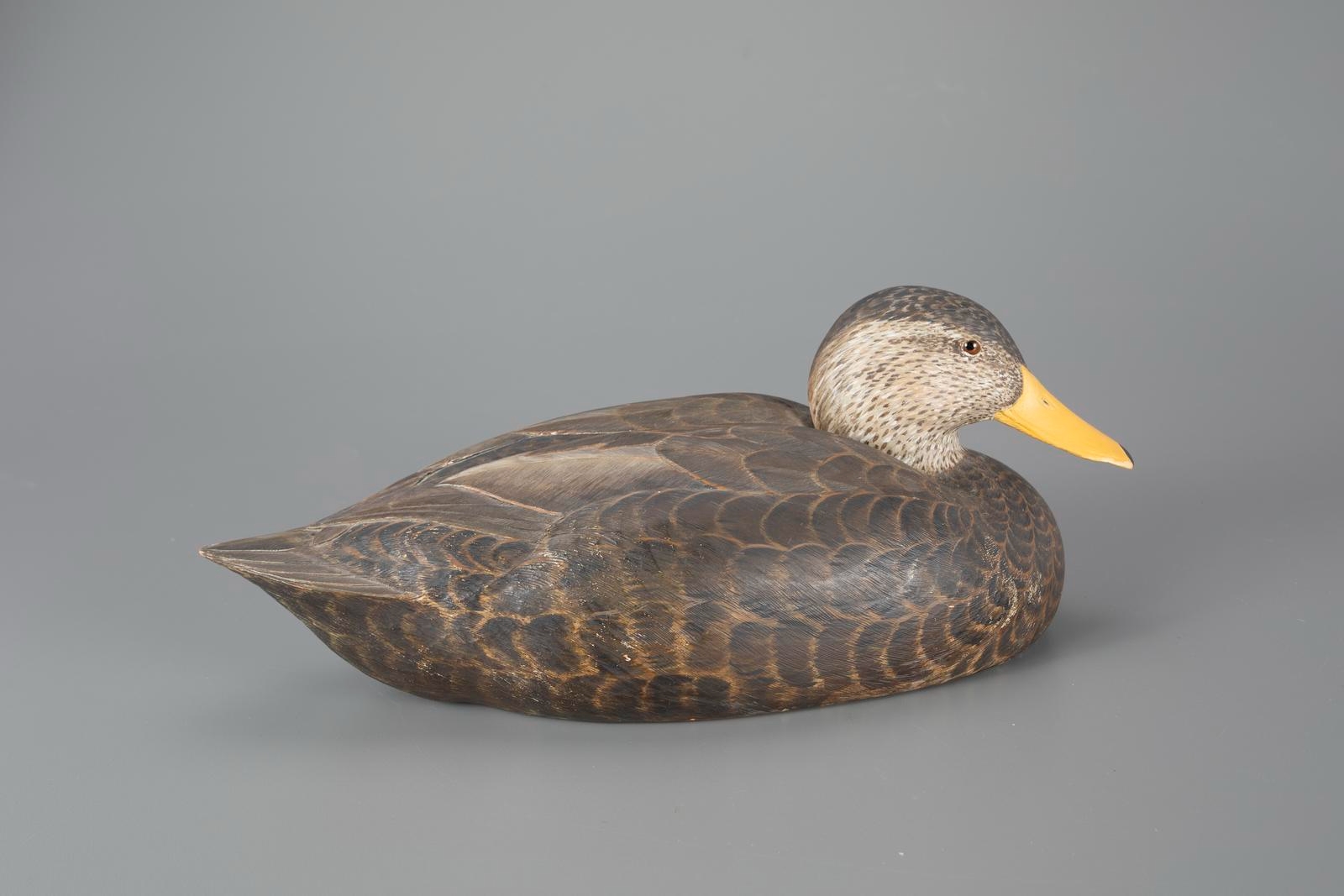 John S. Scheeler | Black Duck (1975) | MutualArt