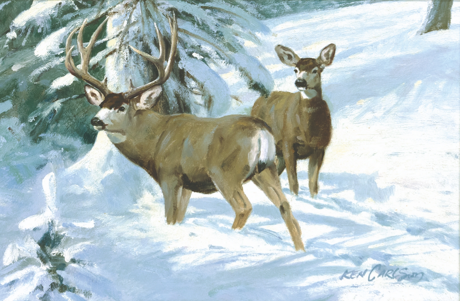Ken Carlson | Mule Deer in Winter | MutualArt