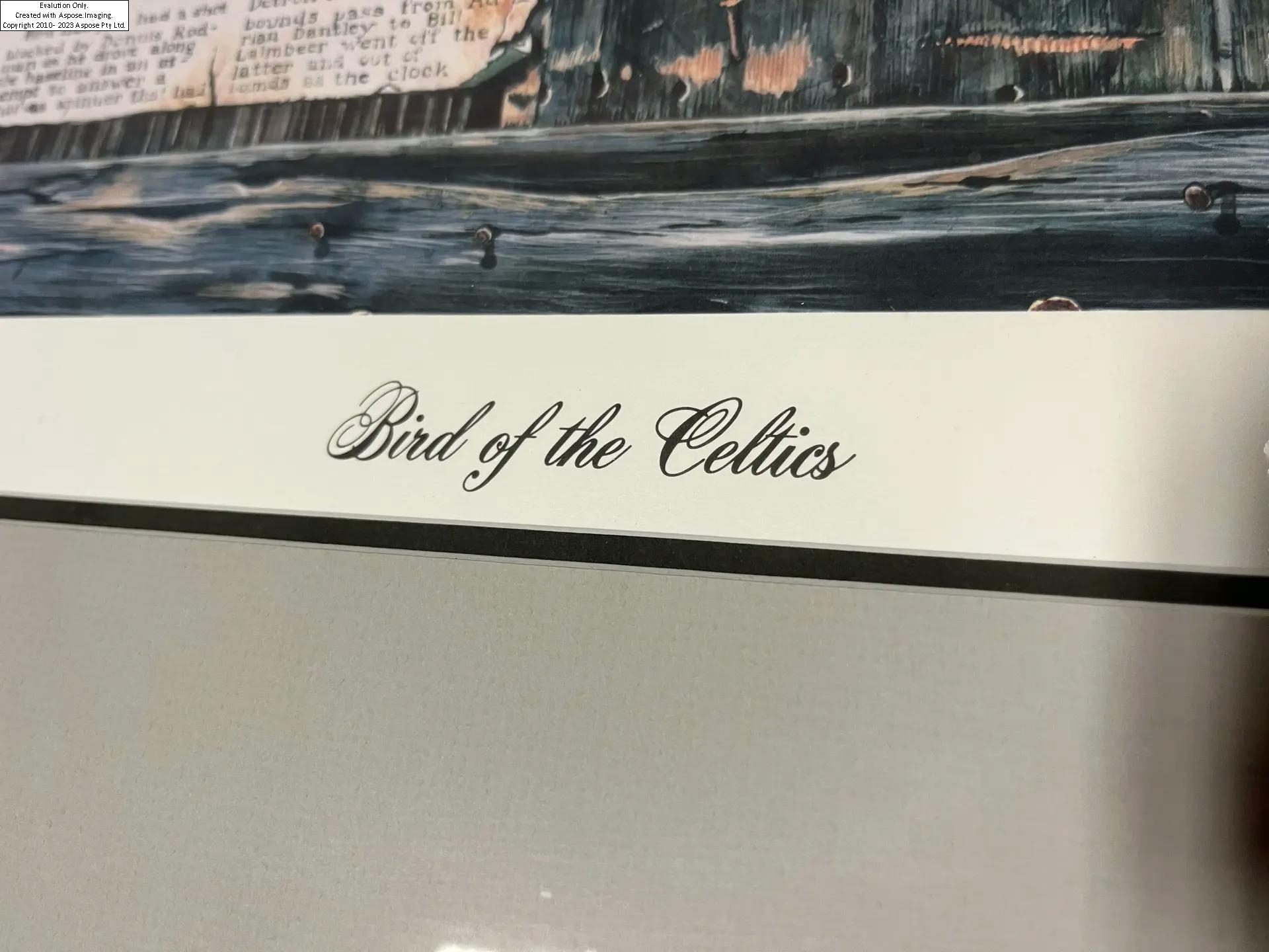 Allen Hackney | Bird of the Celtics Larry Bird (1987) | MutualArt