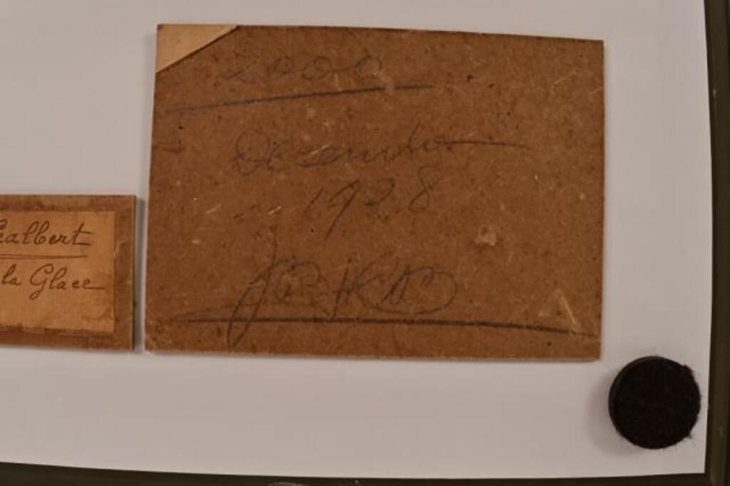 Jules Scalbert | Jules Scalbert Original Pastel Painting | MutualArt