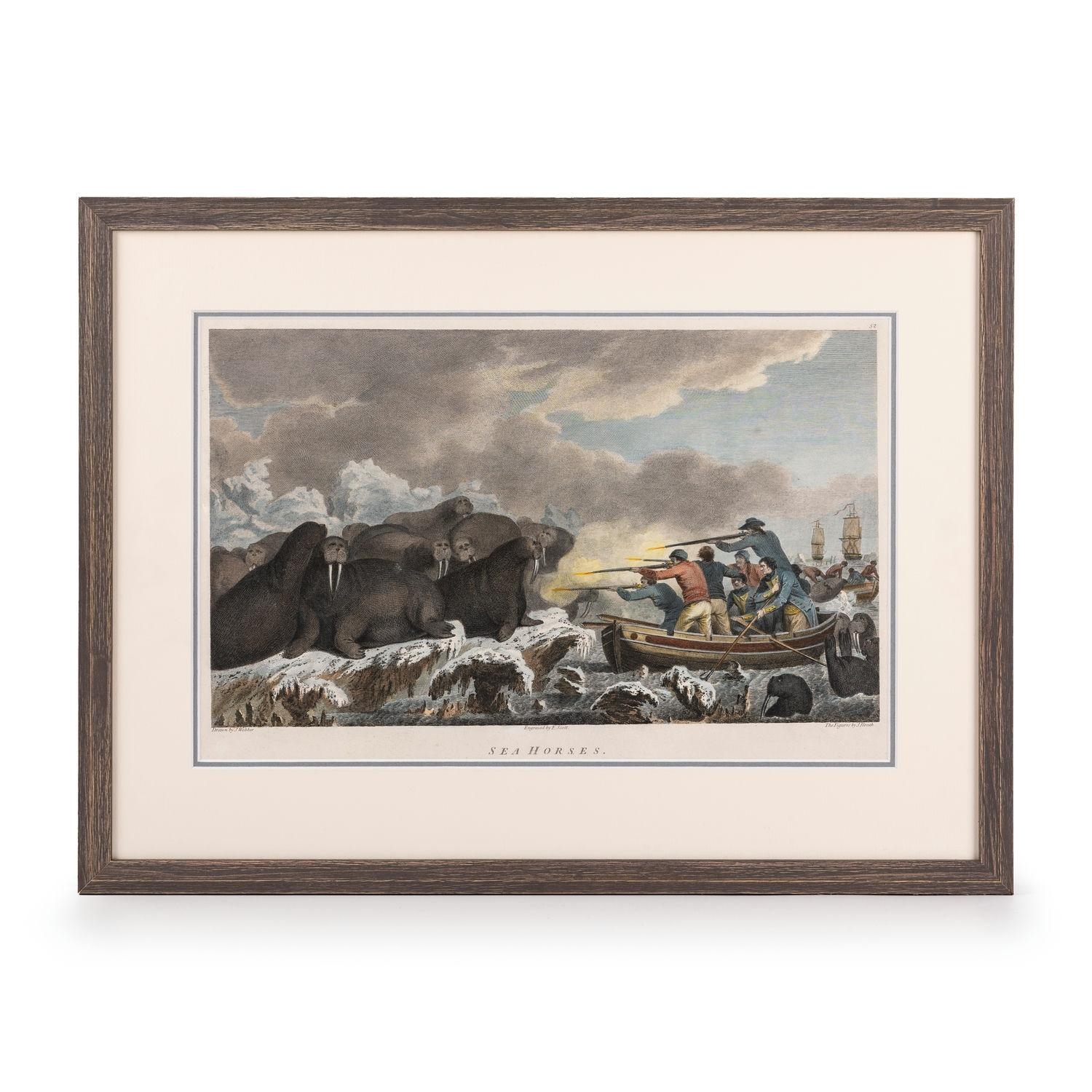 John Webber | SEA HORSES (Circa 1784) | MutualArt