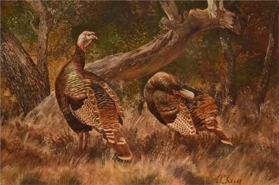 Travis Keese | Travis Keese Texas Rio Grande Turkey Oil Painting ...