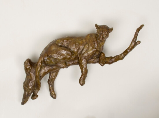 Tim Shinabarger | Catnap (6) | MutualArt