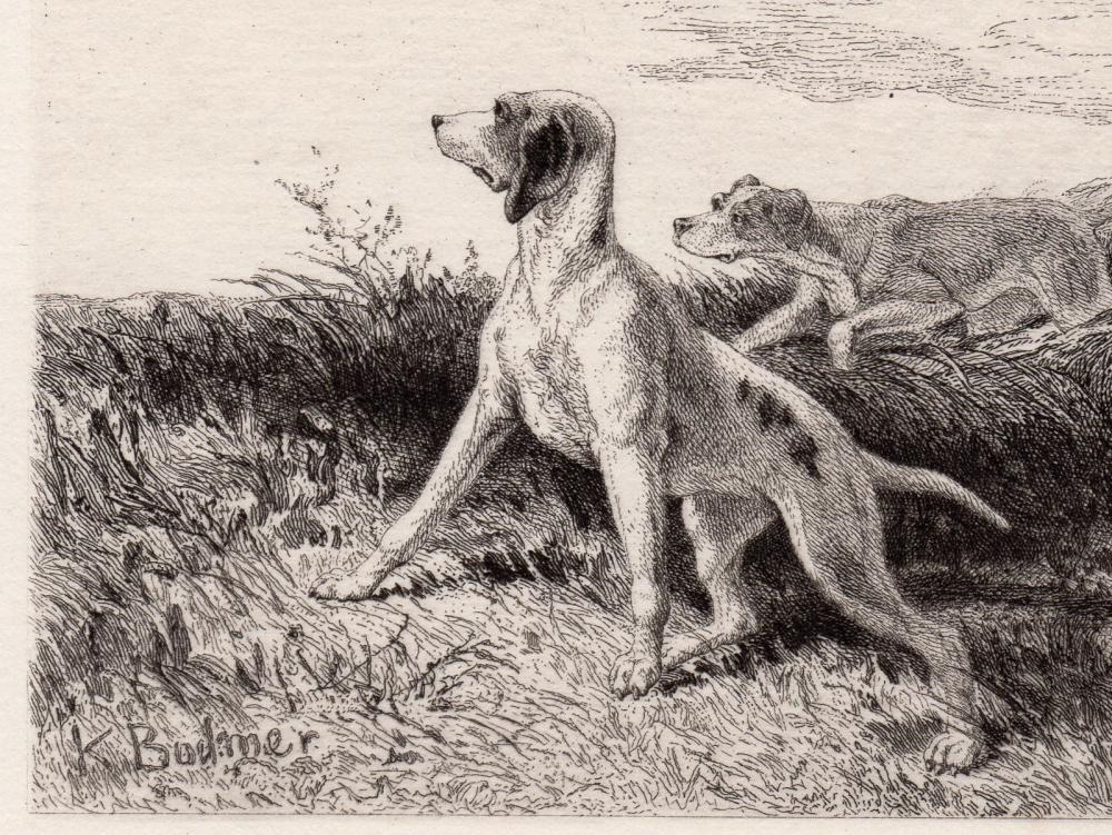 Karl Bodmer | Dogs (1872) | MutualArt