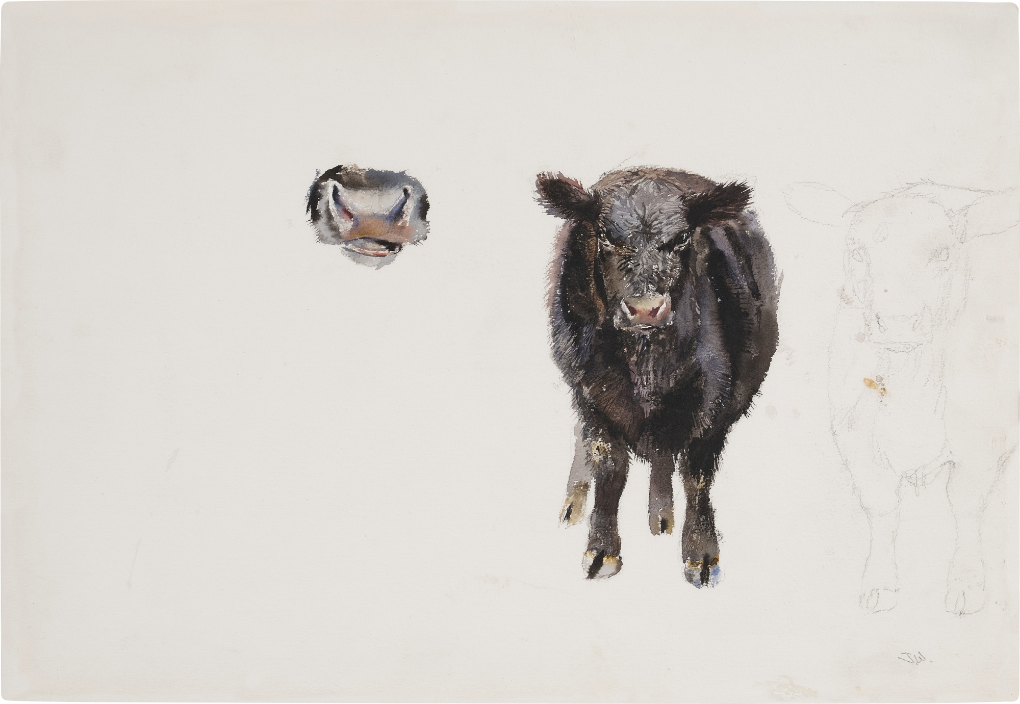 Jamie Wyeth | Study of Kleberg (1984) | MutualArt