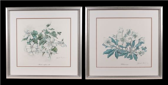Elizabeth Cameron | two botanical flower prints | MutualArt