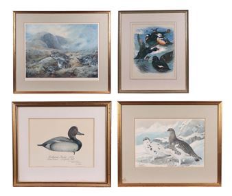 Archibald Thorburn | Jay (1917) | MutualArt