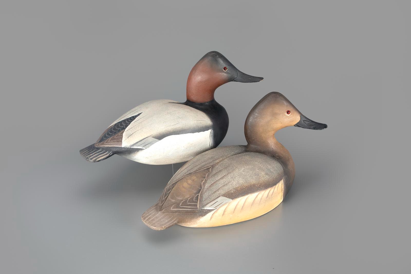 Lem and Steve Ward | Canvasback Pair (1967) | MutualArt