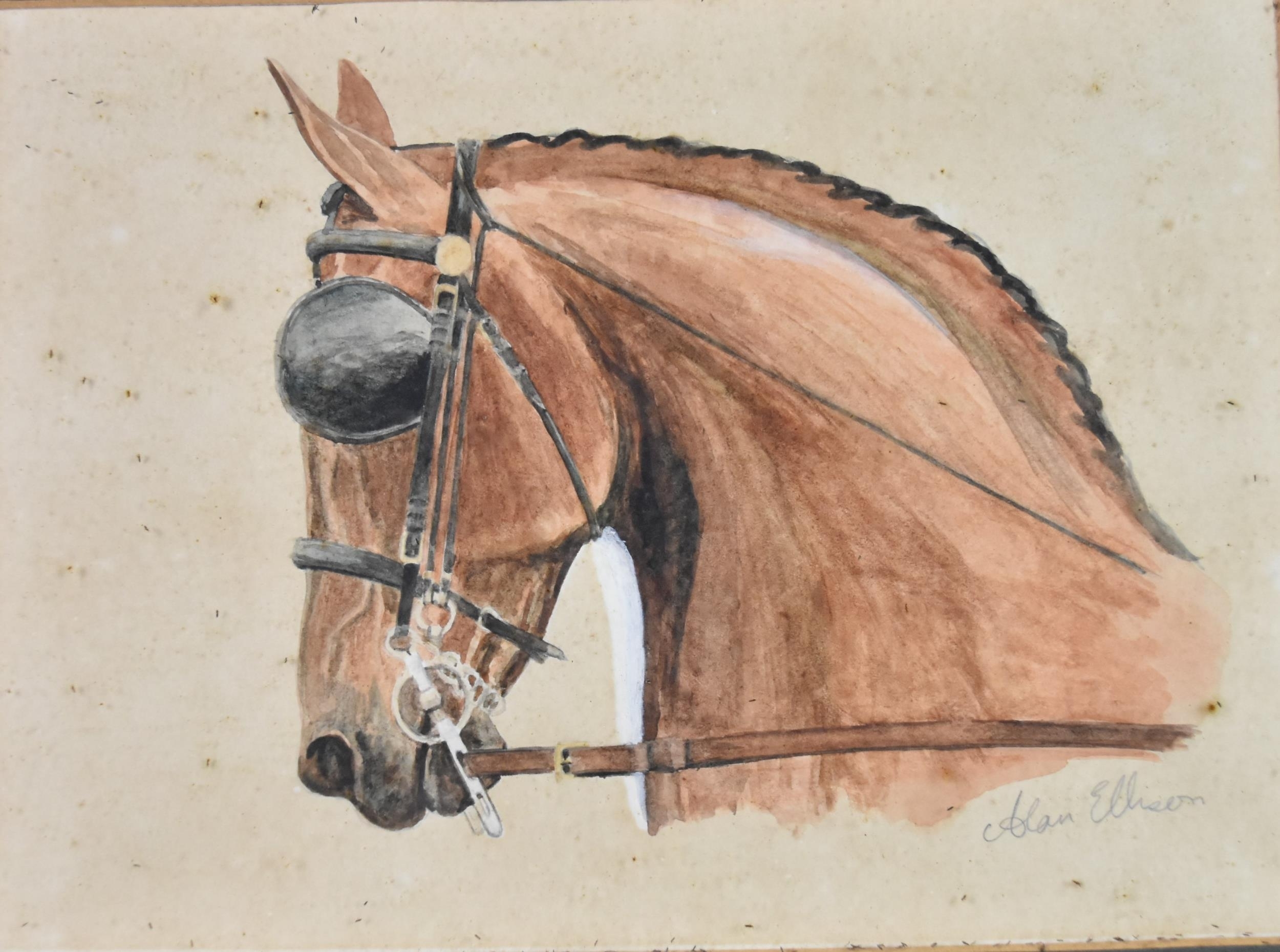 Alan Ellison | horse portrait | MutualArt