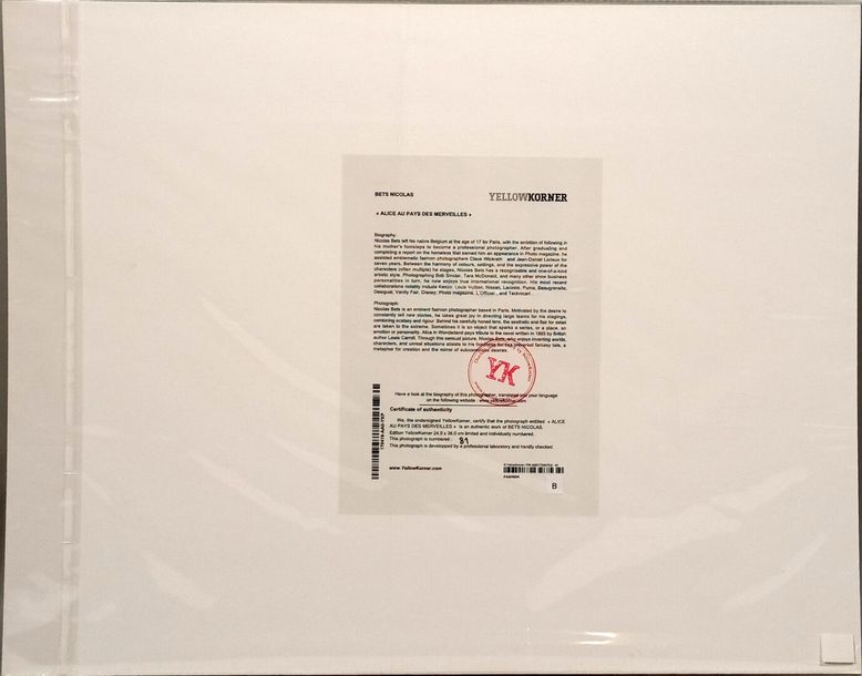 Nicolas Bets | Alice au Pays des Merveilles | MutualArt