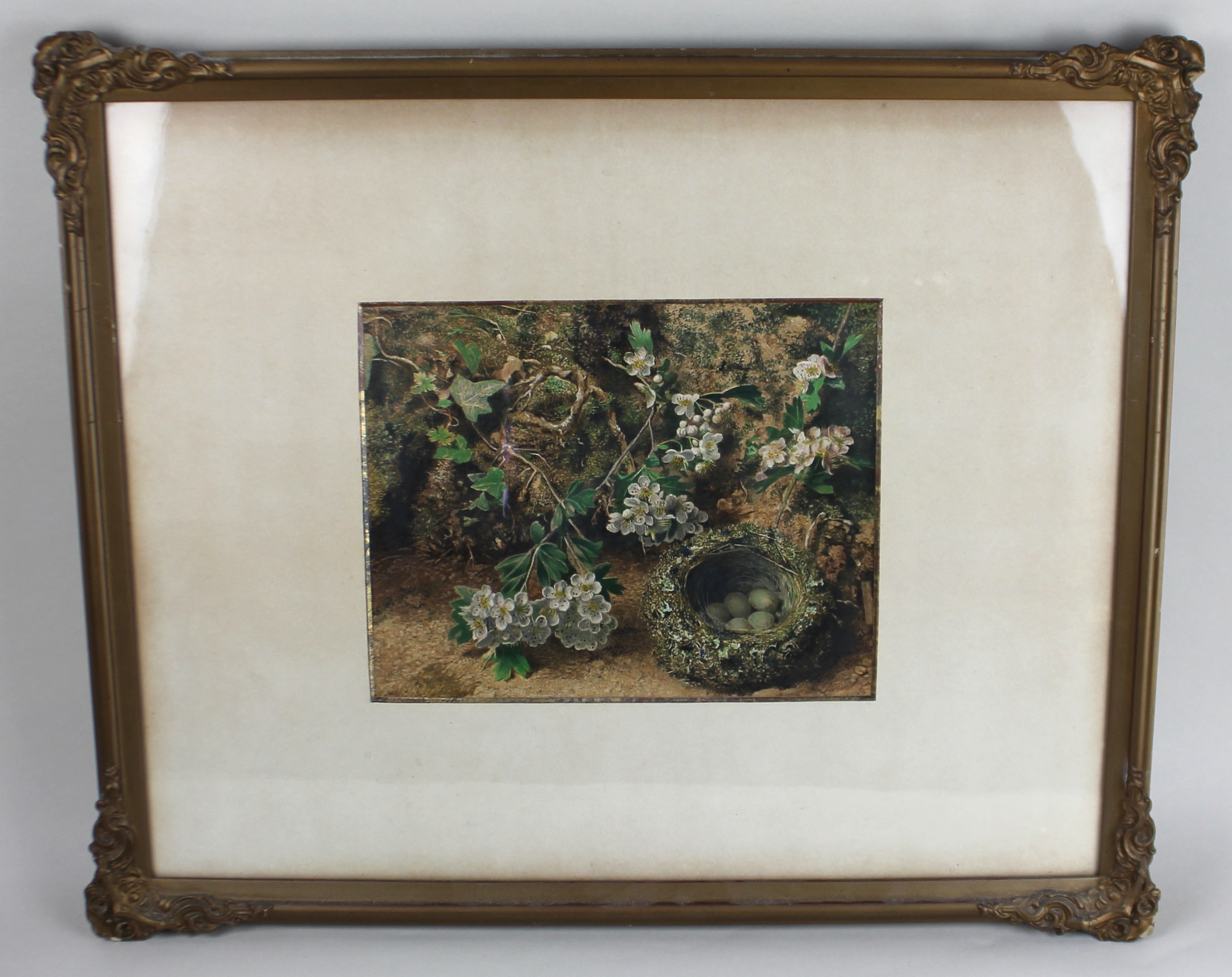 William Henry Hunt | still life with birds nest | MutualArt