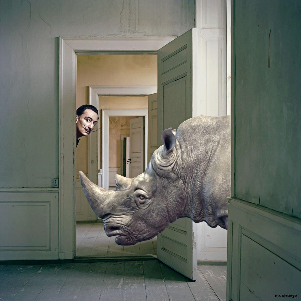 Mr. Strange | The Rhino of Salvador 2023 (2023) | MutualArt