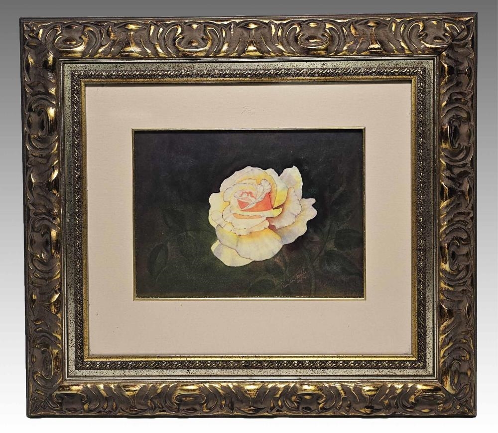 Pamela Hall | White Rose, 2002 (2002) | MutualArt