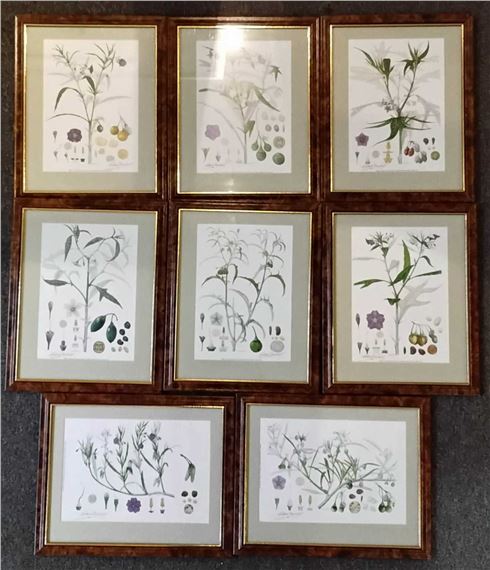 Gilbert Dashorst | 1 Artworks at Auction | MutualArt