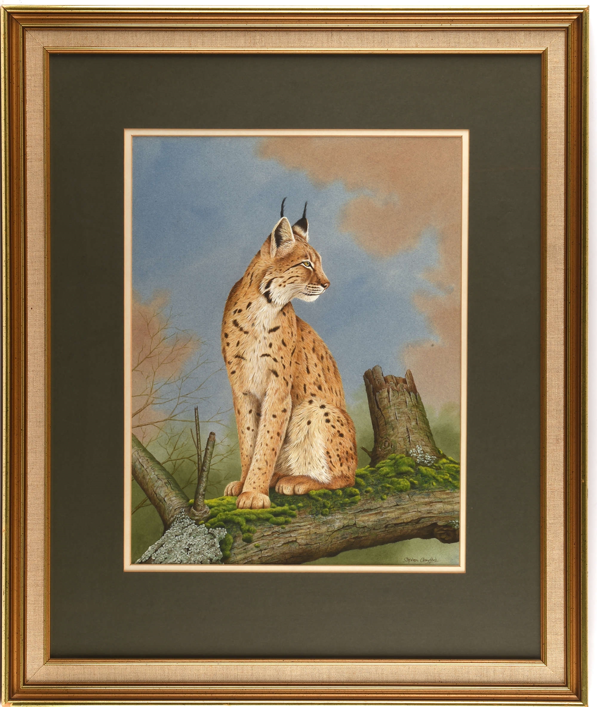 Stephen Gayford | Stephen Gayford (British b.1954), European Lynx ...