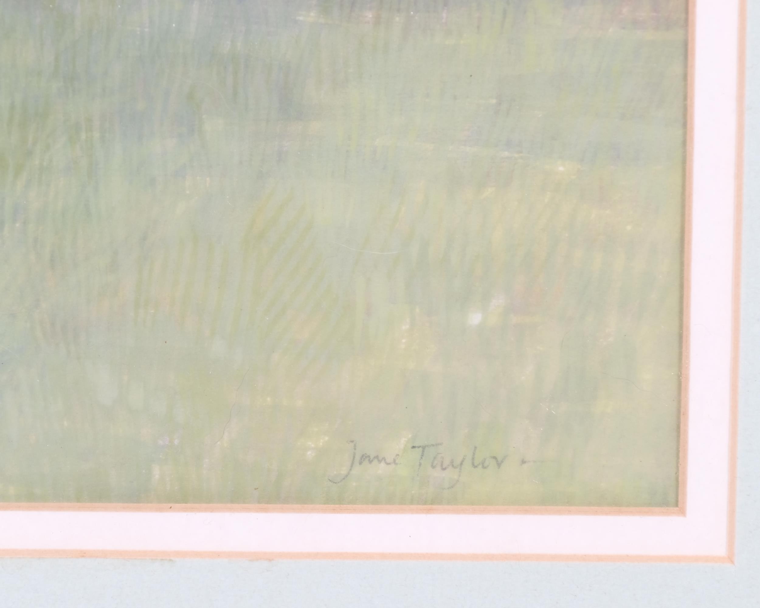 Jane Taylor | watercolour | MutualArt