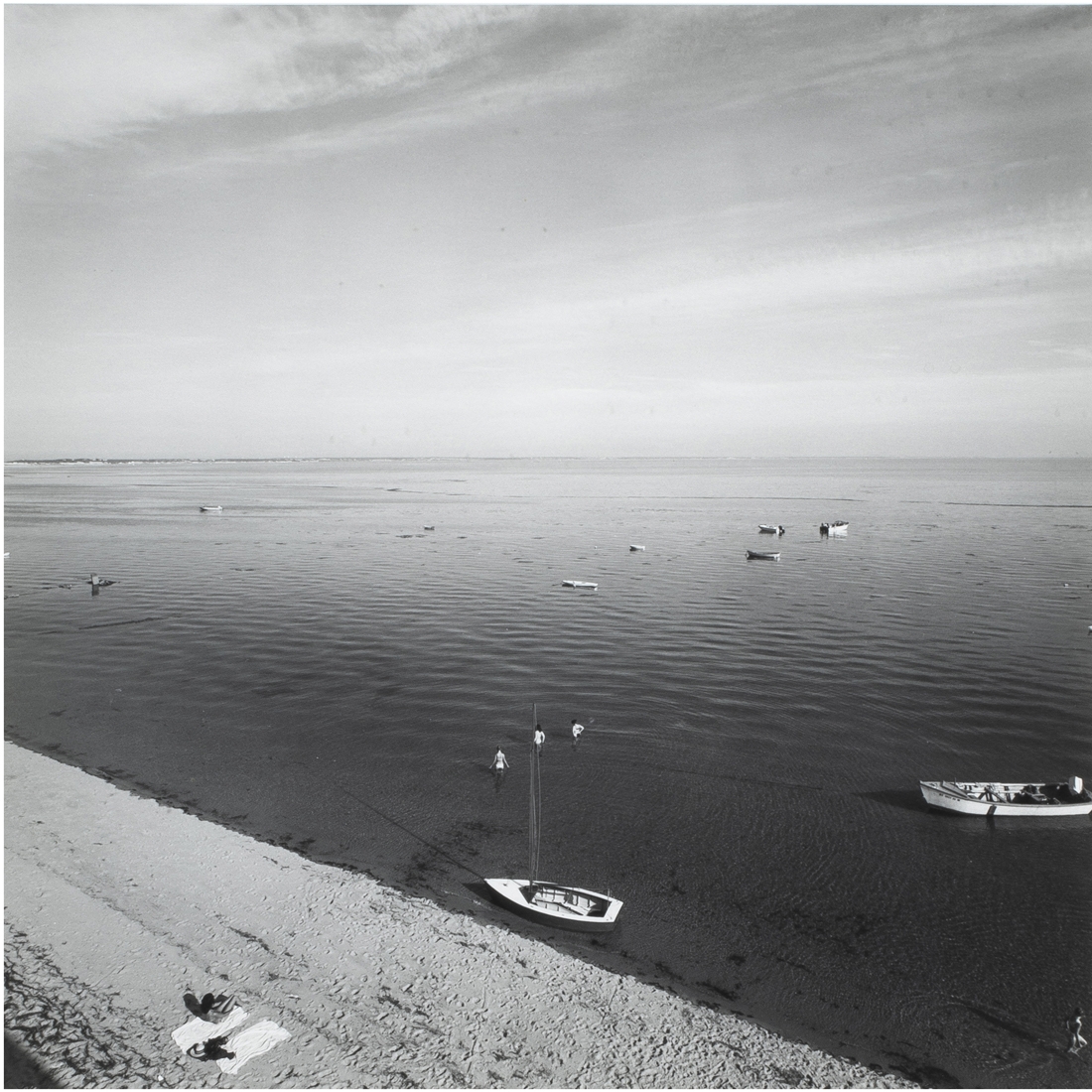 Harry Callahan | ELEANOR (TREES IN FOREGROUND) (1950s - 1960s) | MutualArt