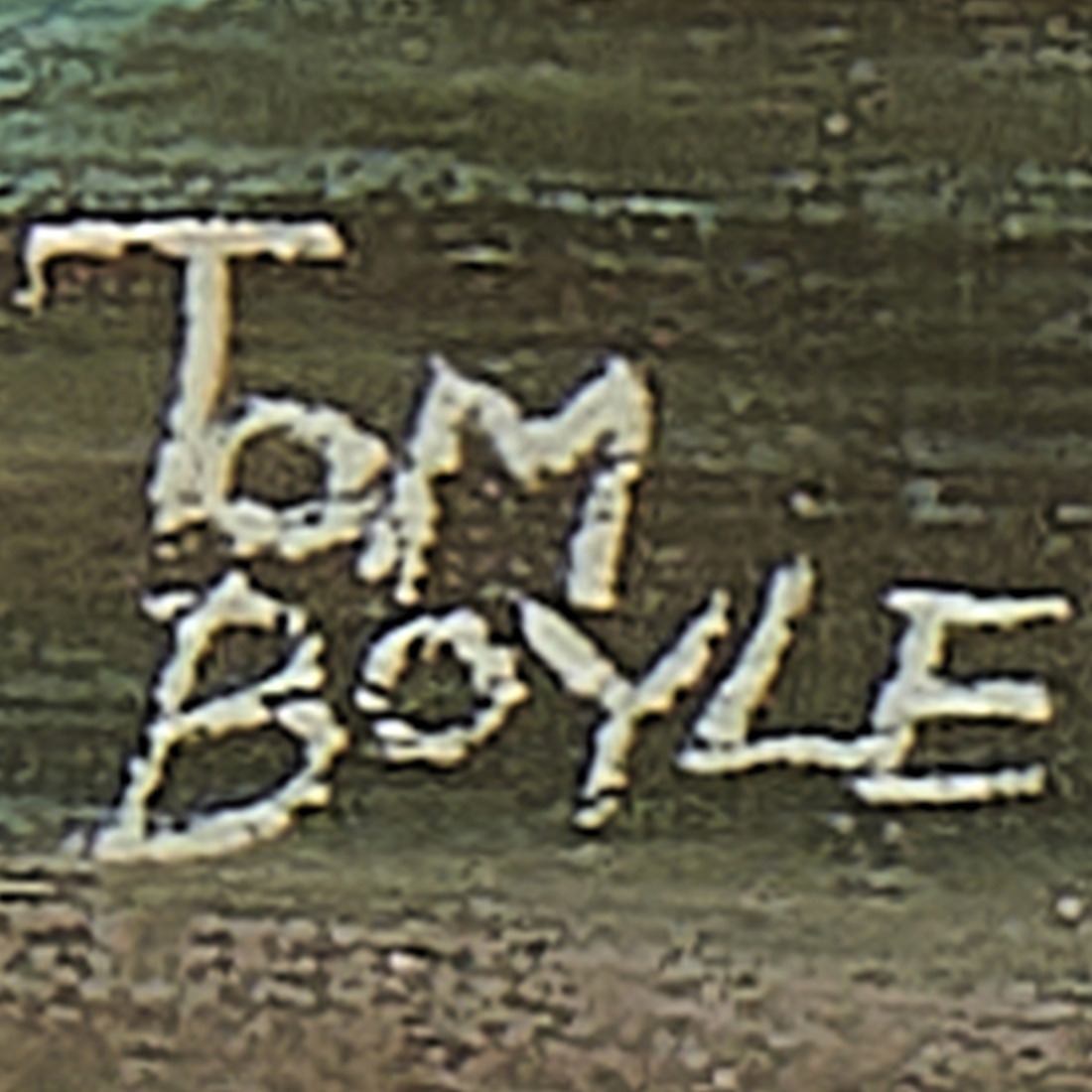 Tom Boyle | Yosemite | MutualArt