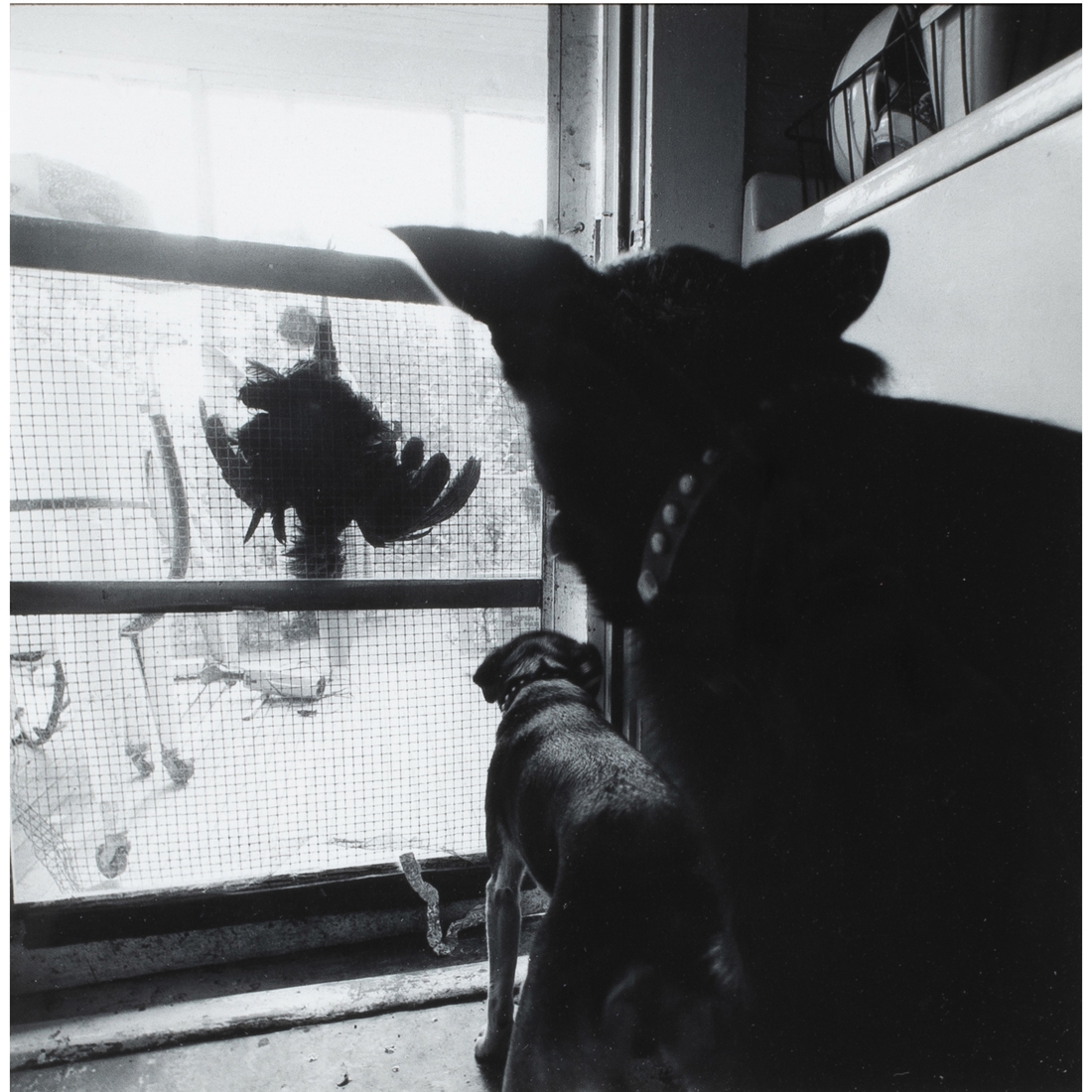 Emmet Gowin | Edith, Newton, Pennsylvania. (1974) | MutualArt