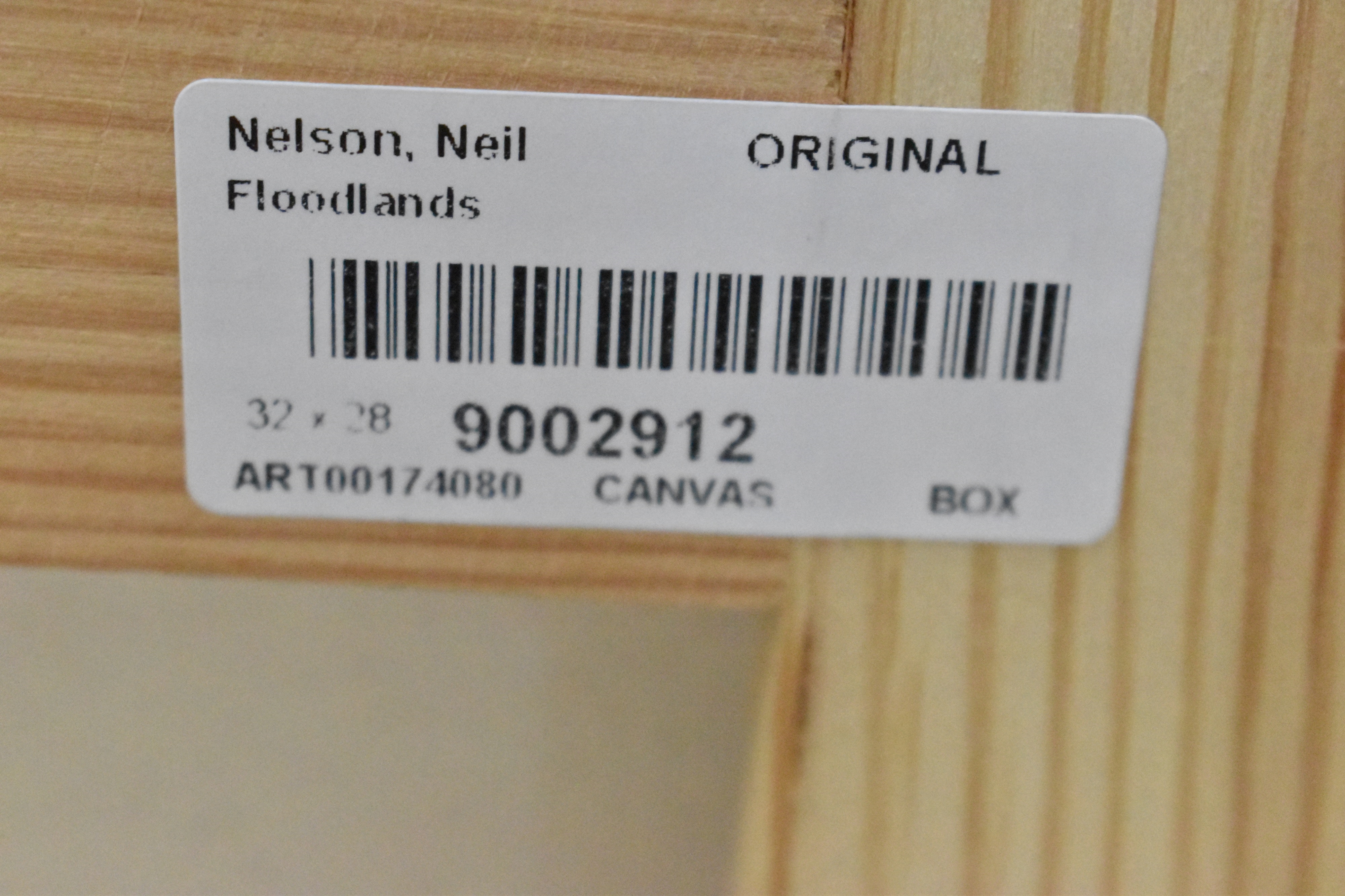 Neil Nelson | Floodlands (2021) | MutualArt
