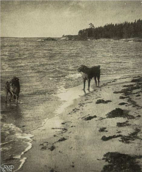 Henry B. Goodwin | Troll och Tott at the Beach on Utö, 1923 (1923 ...