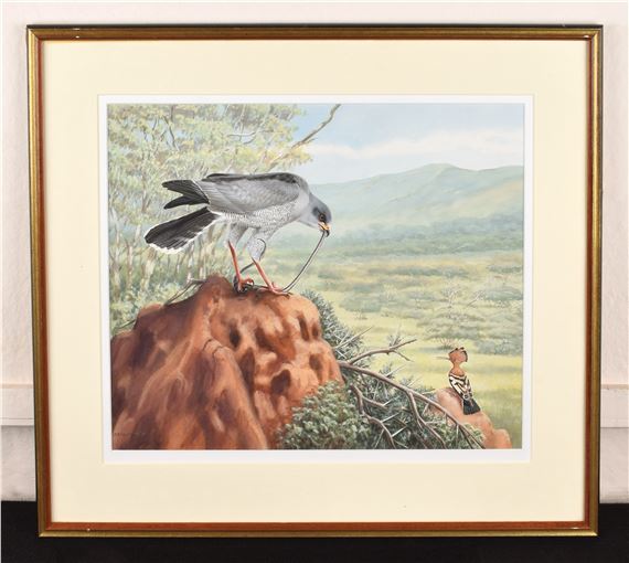 Chloë Talbot-Kelly | Sparrowhawk and Hoopoe (85) | MutualArt