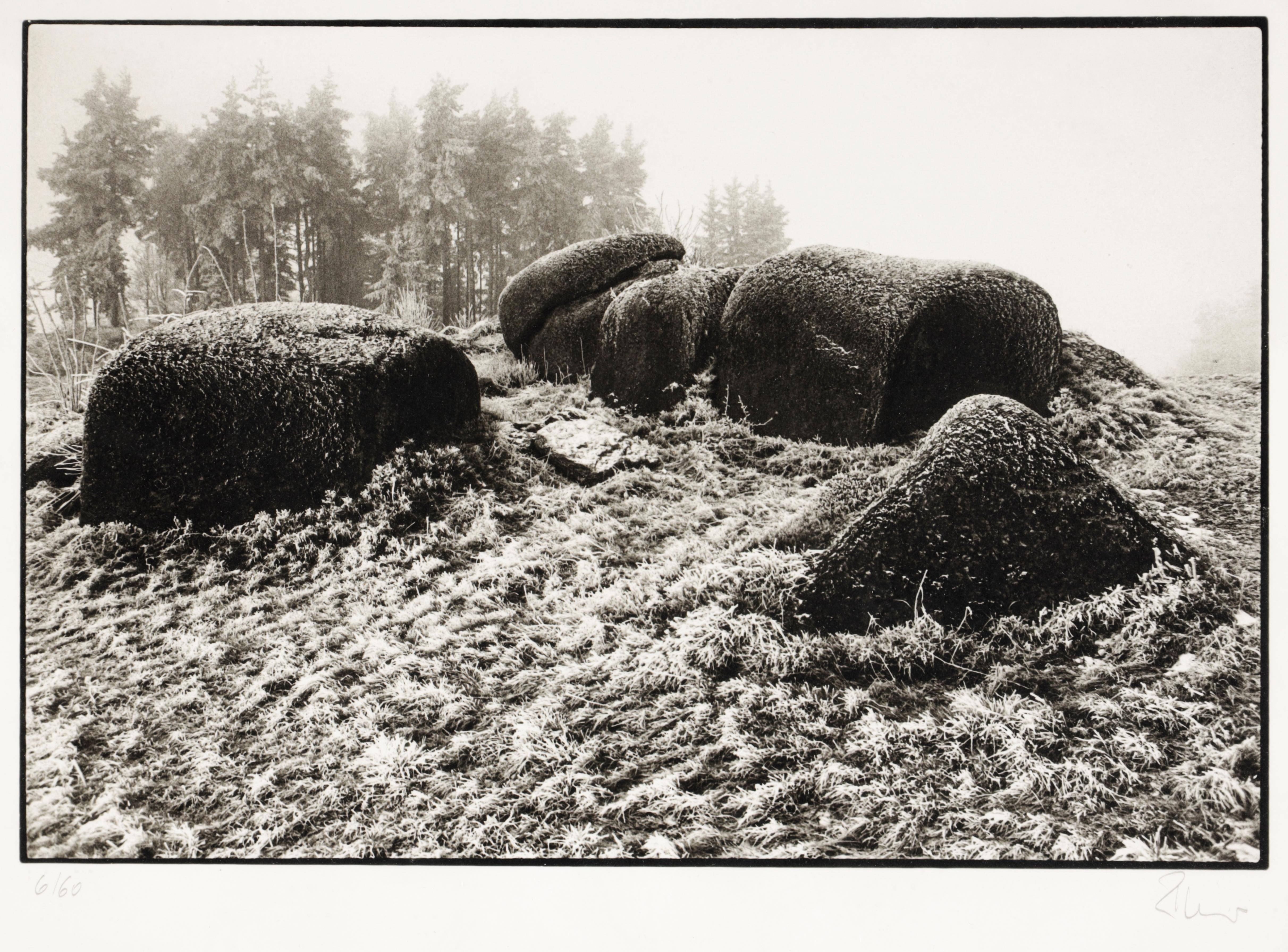 Gerhard Trumler | Gerhard Trumler (1978) | MutualArt